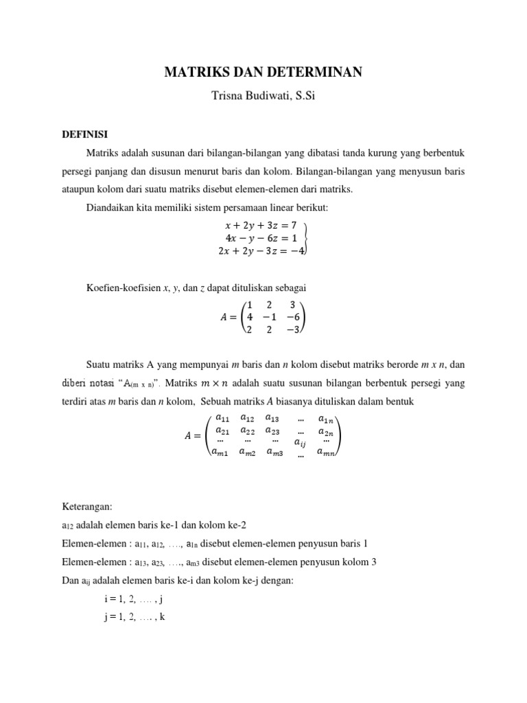 Matriks Dan Determinan | PDF