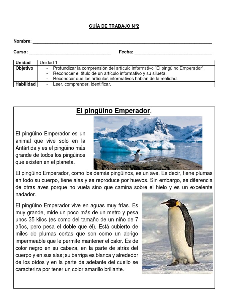 GUÍAS pinguino | Pingüino | Aves