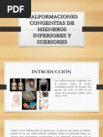 Anomalias Congenitas de Mano | PDF | Mano | Hueso