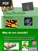 Taxonomy Foldable | PDF | Taxonomy (Biology) | Cell (Biology)