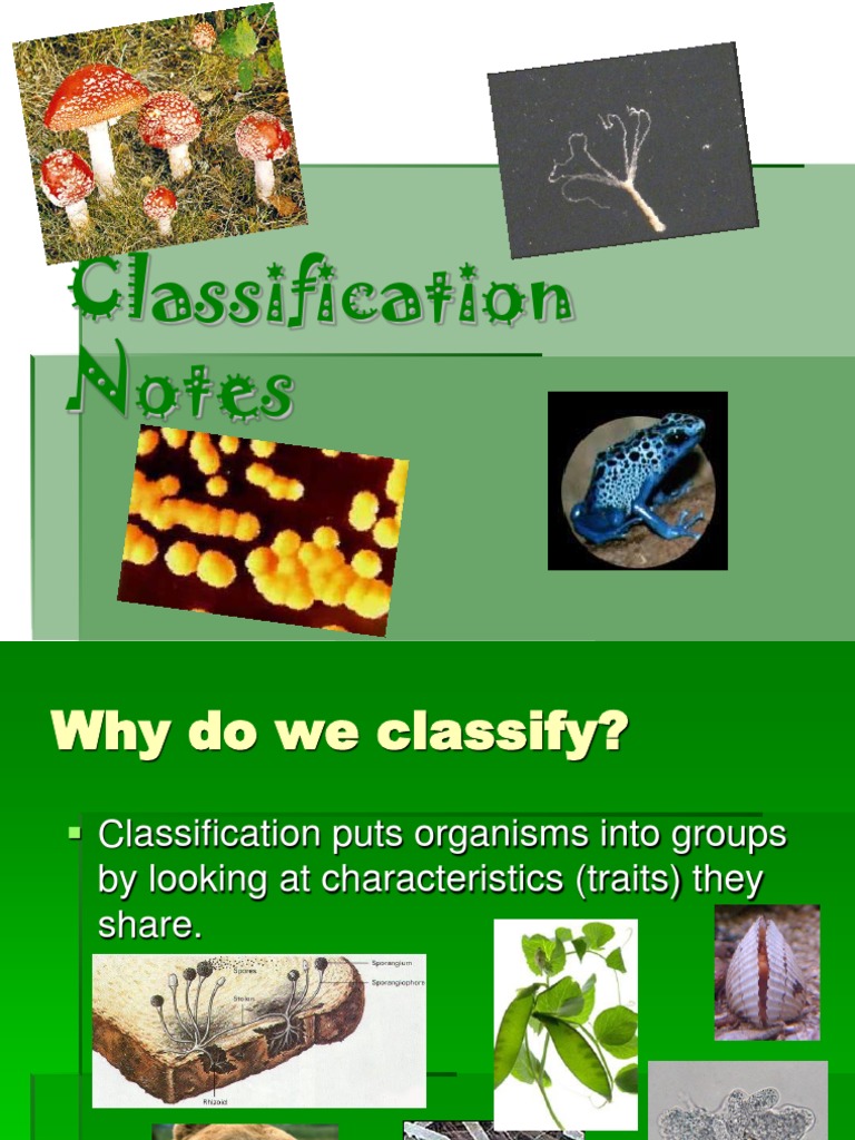 Classification Taxonomy Powerpoint | PDF | Organisms | Cell (Biology)