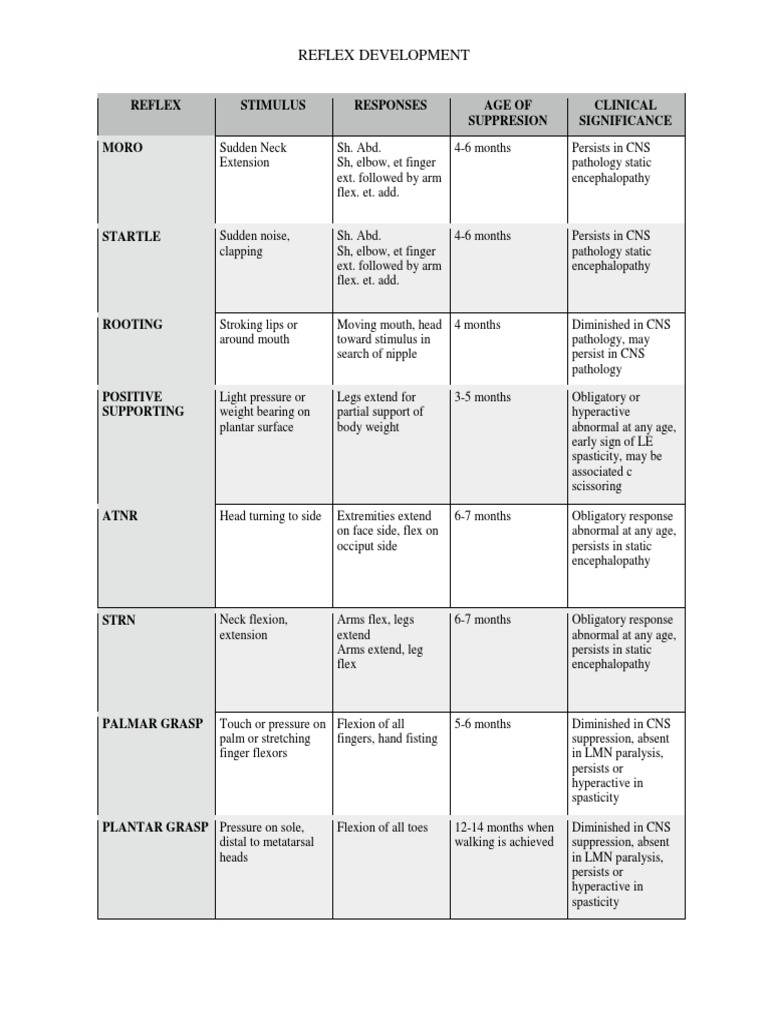 Reflexes | PDF | Anatomical Terms Of Motion | Musculoskeletal System