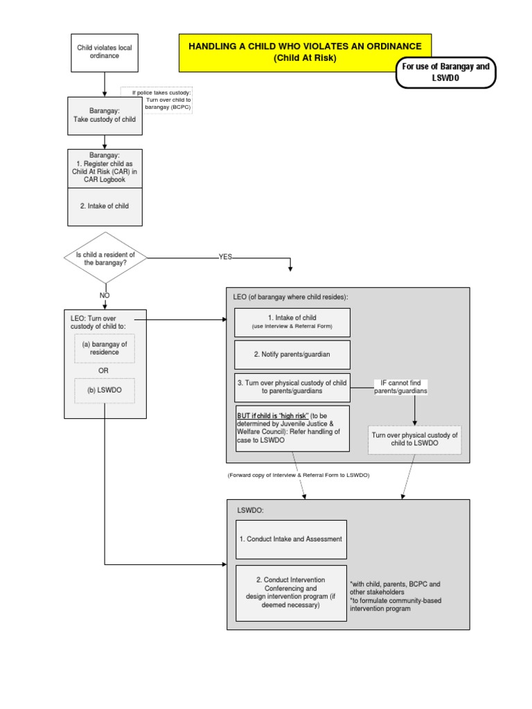 BCPC Flowchart for Handling Child Cases | PDF | Child Custody | Parenting