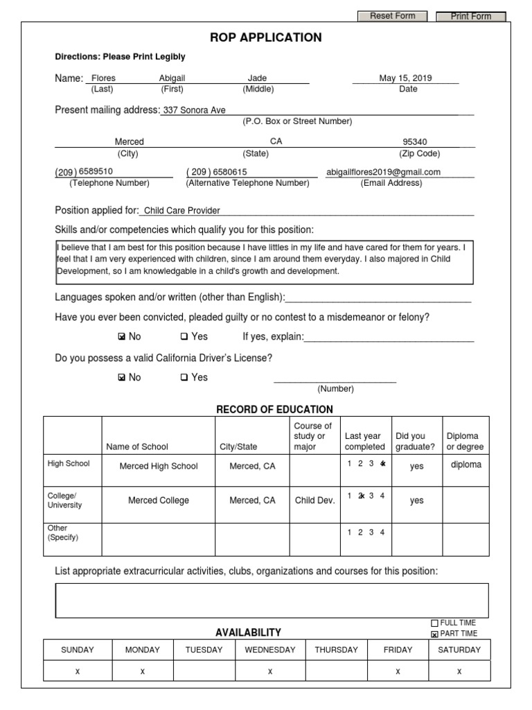 Child Care Provider Application Form | PDF | Violence
