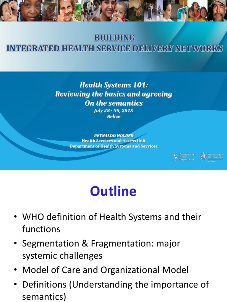 Integrated Health Service Delivery Networks | PDF | Health System ...