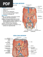 Irrigacion Del Recto | PDF