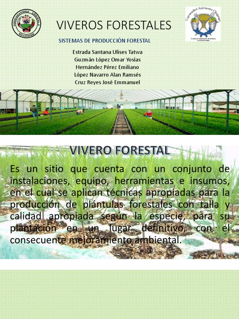 Exposición Viveros Forestales | Siembra | Suelo