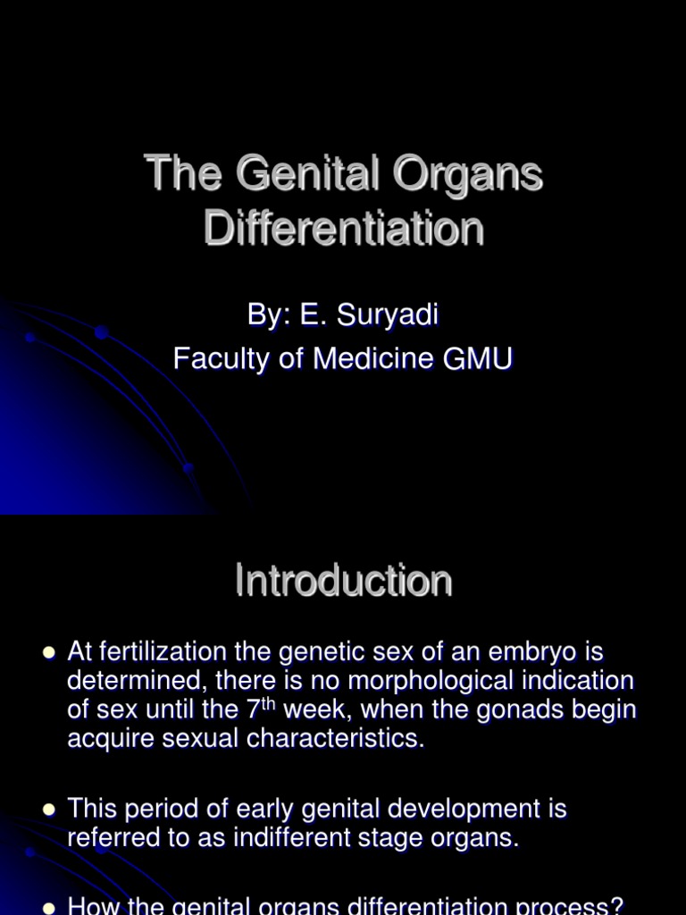The Genital Organs Differentiation | PDF | Mammal Reproductive System ...