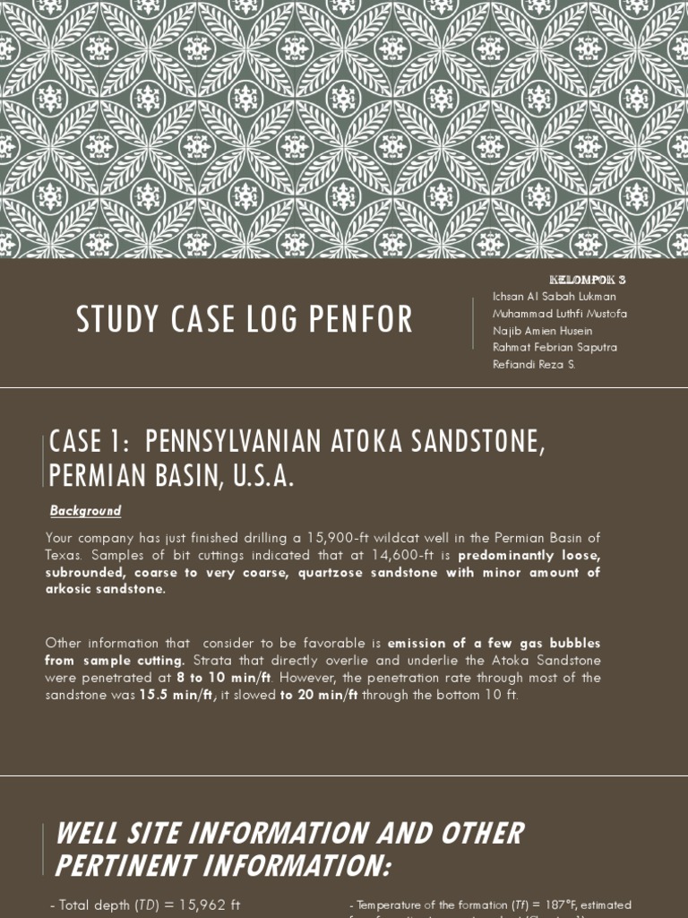 Permian Basin Atoka Sandstone Case Study | PDF | Nature