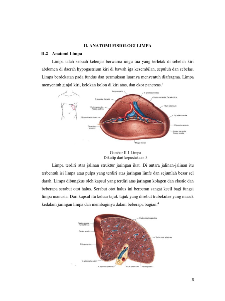 Bab 2 Anatomi Fisiologi | PDF | Sains & Matematika