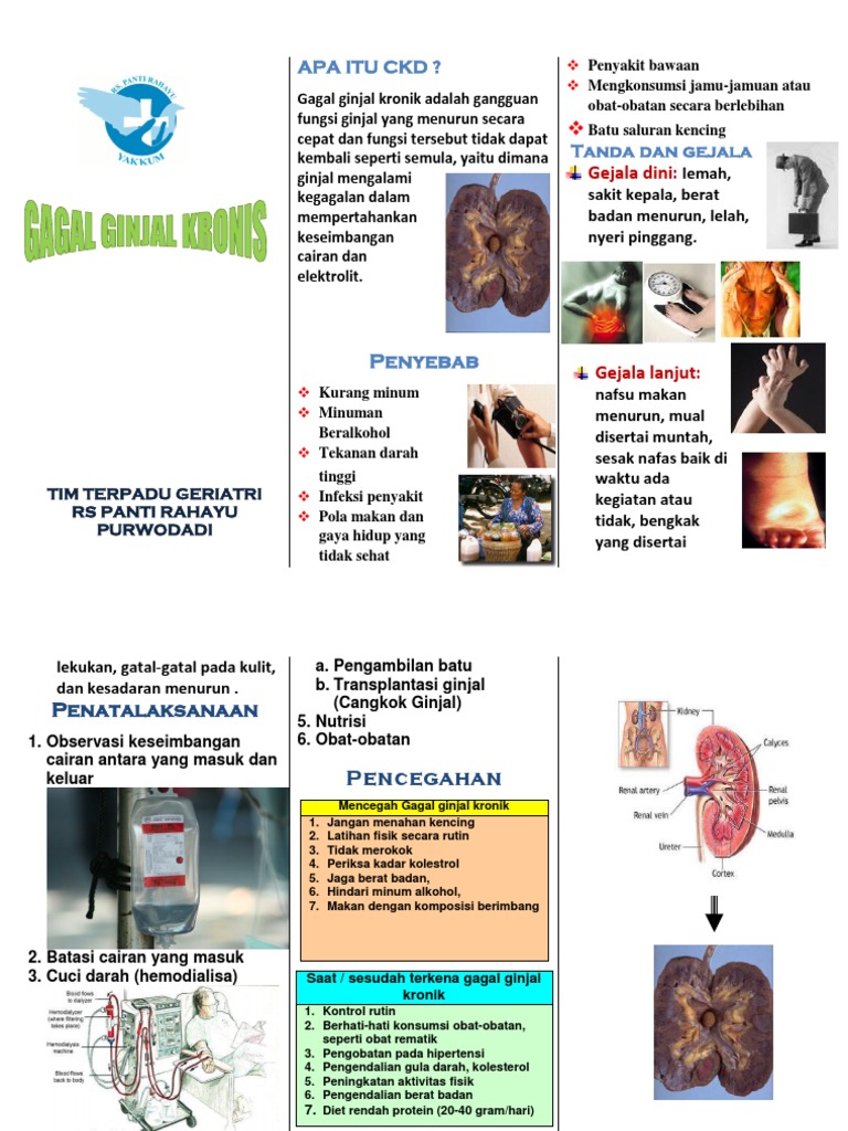 Gejala dan Penanganan CKD | PDF