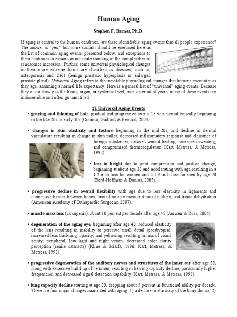 Human Aging | PDF | Stomach | Esophagus
