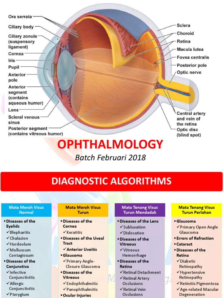 Opthalmology PDF | PDF