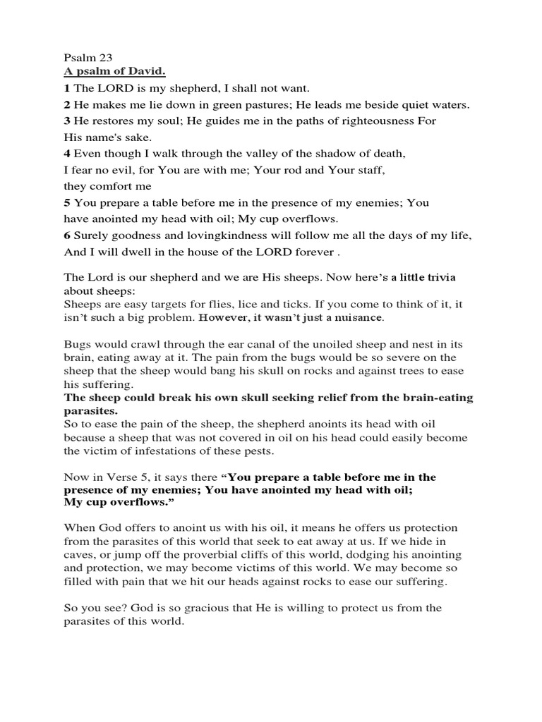 Understanding Psalm 23's Comfort and Protection | PDF