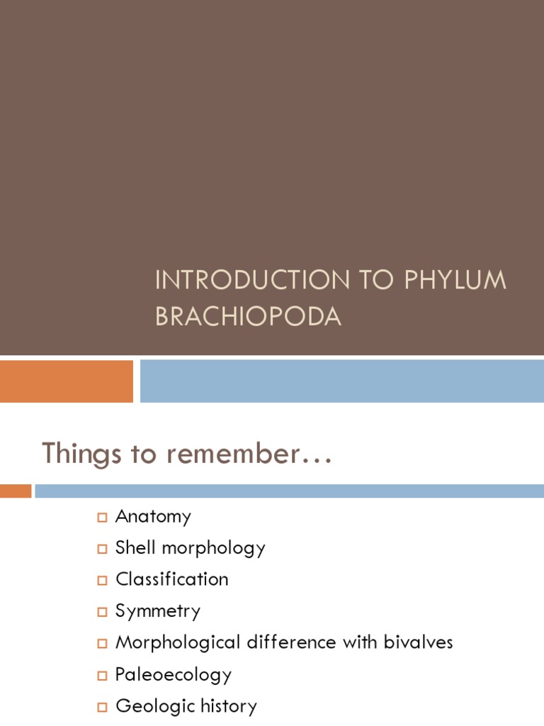 Brachiopoda | PDF | Bivalvia | Organisms