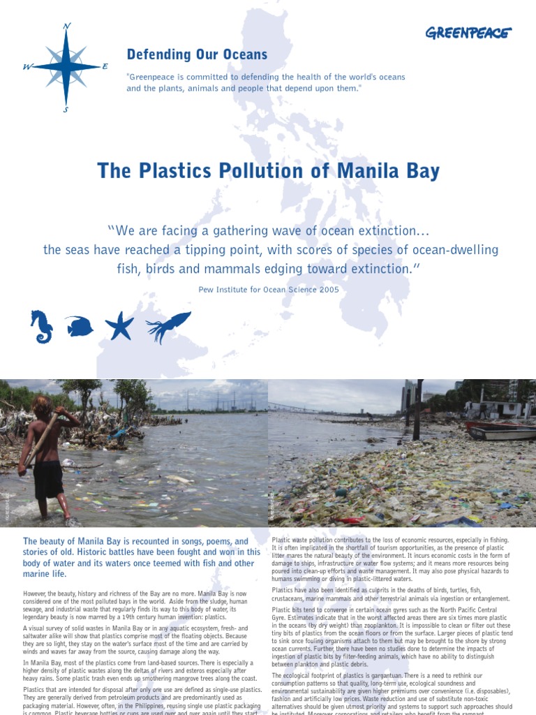 The Plastic Pollution | PDF | Plankton | Pollution