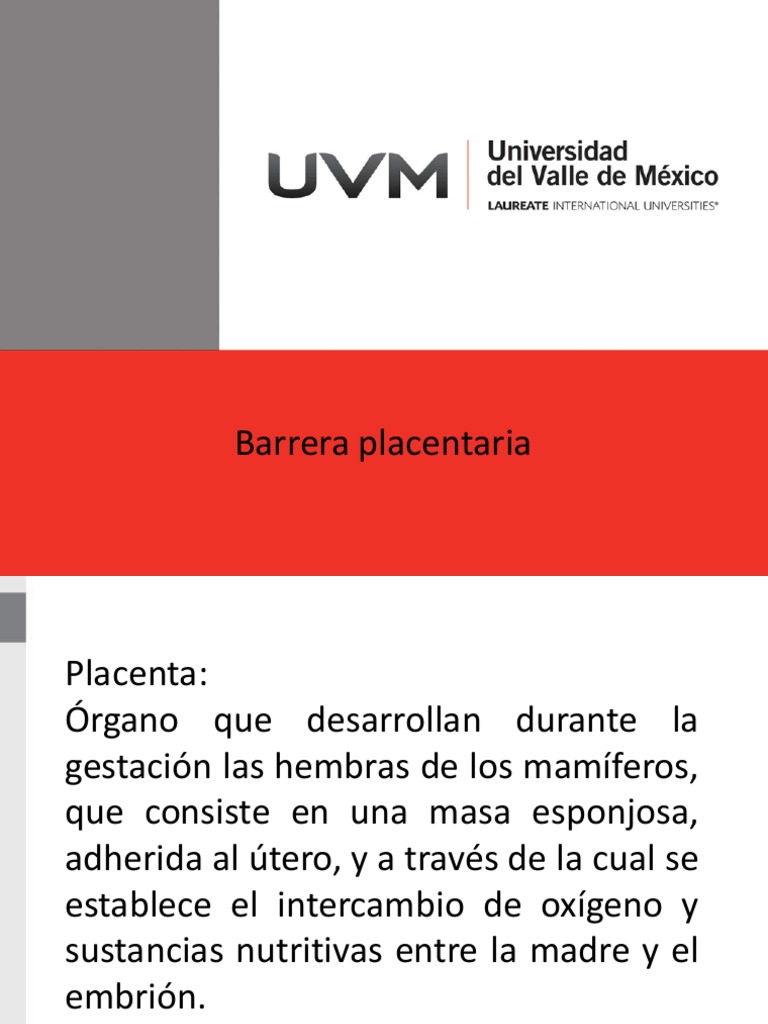 Barrera Placentaria | Placenta | Feto