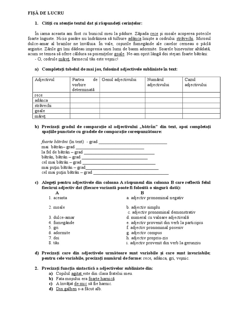 Adjectivul 7 | PDF