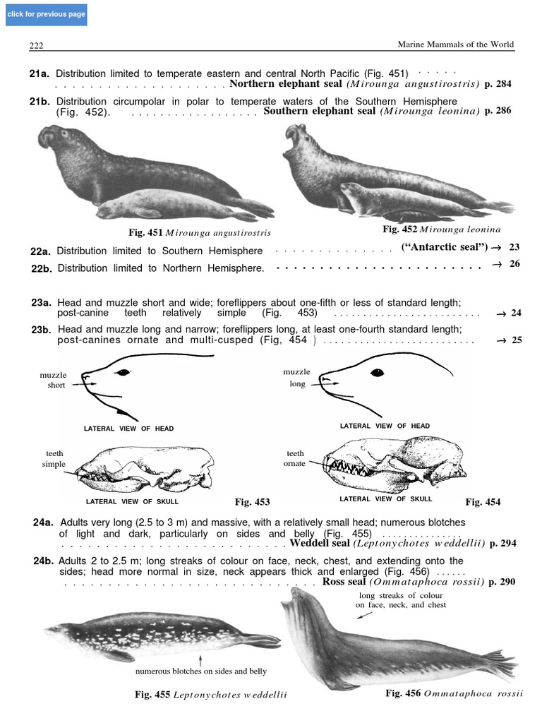 21a. Distribution Limited To Temperate Eastern and Central North ...