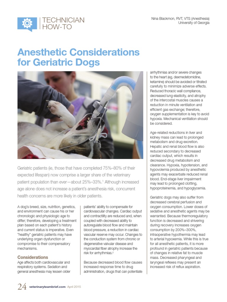 Anesthetic Considerations For Geriatric Dogs | PDF | Anesthesia ...