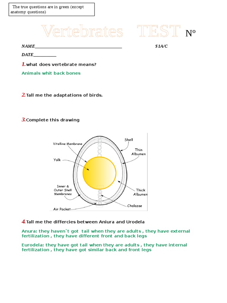 Vertebrates TEST: NAME - S1A/C DATE | PDF