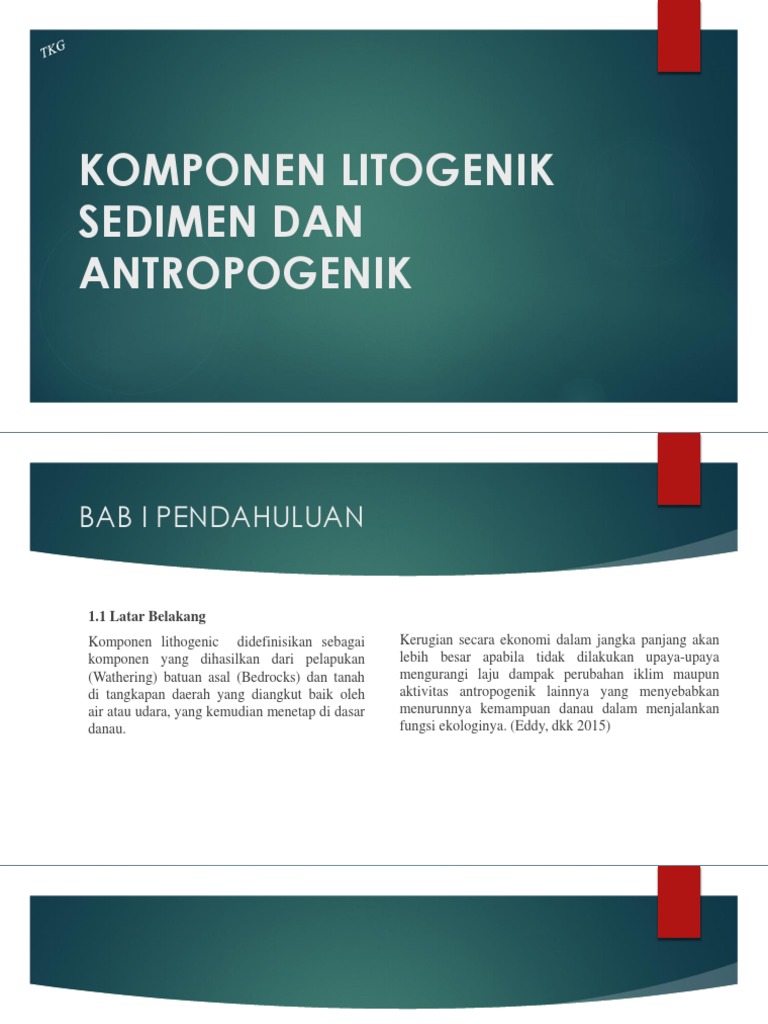 Komponen Litogenik Sedimen Dan Antropogenik | PDF