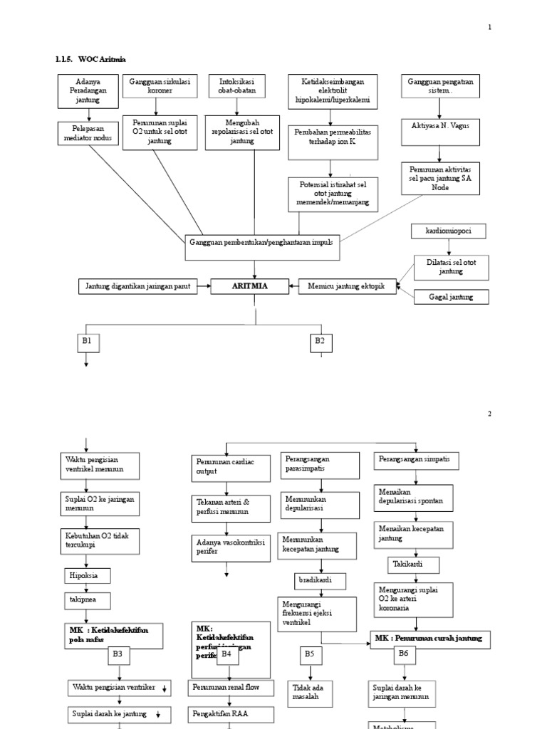Woc Aritmia Fix | PDF