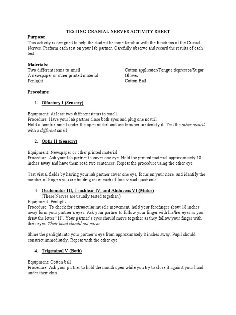 Testing Cranial Nerves Activity Sheet | PDF | Face | Neuroanatomy