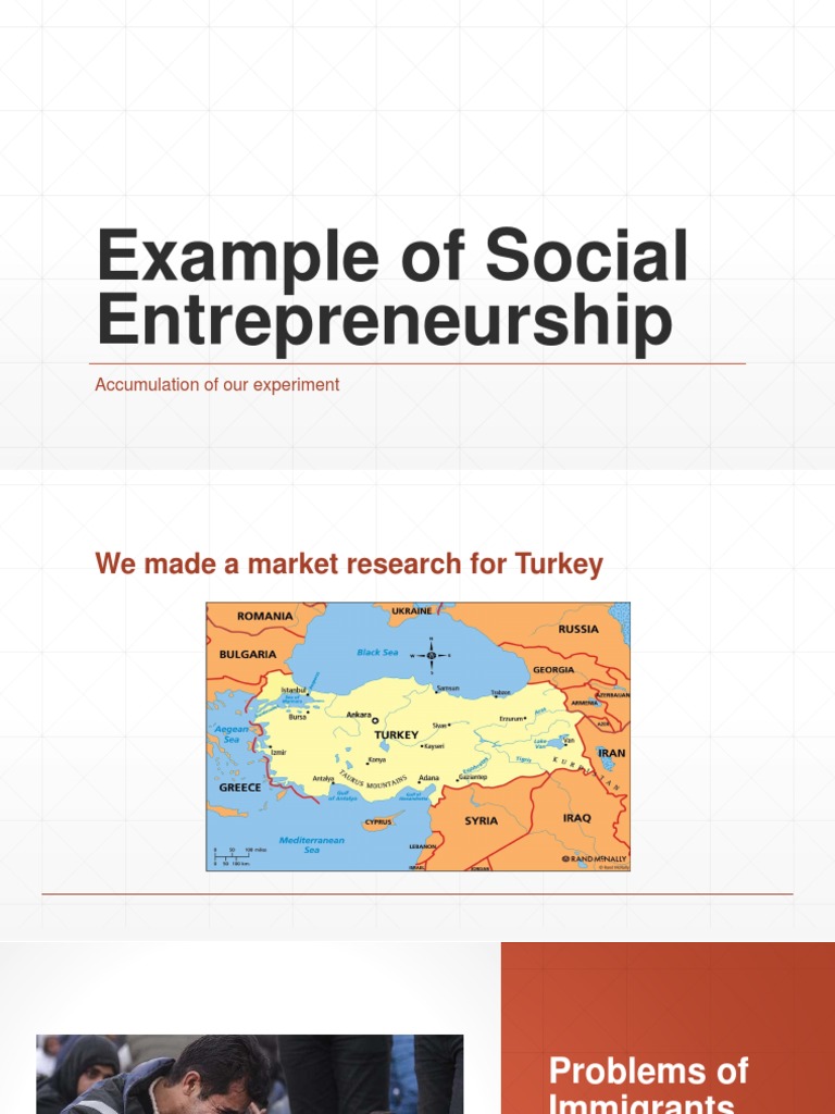 Example of Social Entrepreneurship: Accumulation of Our Experiment | PDF