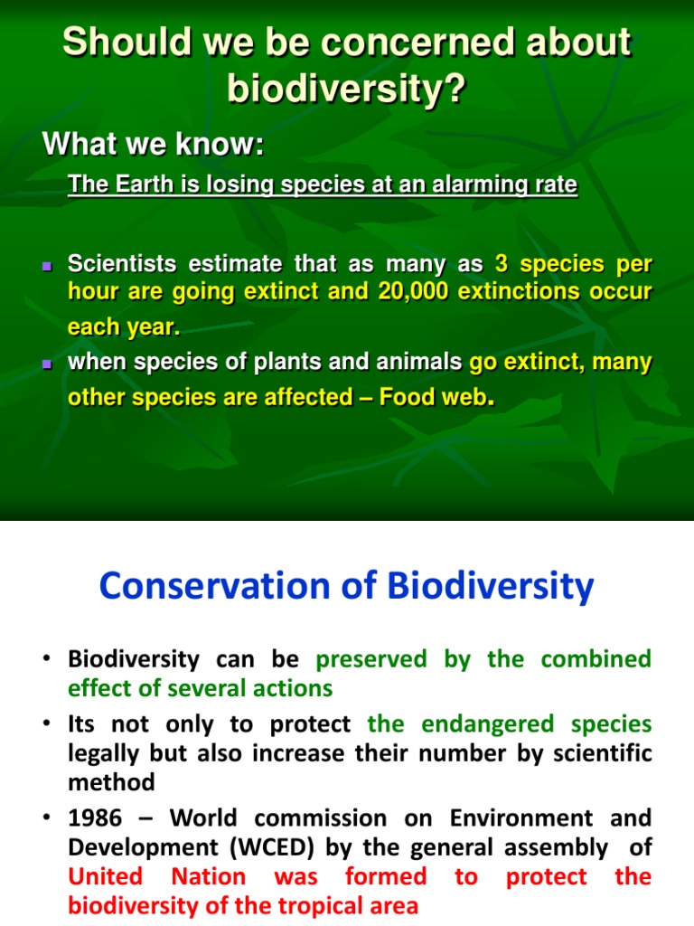 Biodiversity Loss and Conservation Efforts | PDF | Genetically Modified ...
