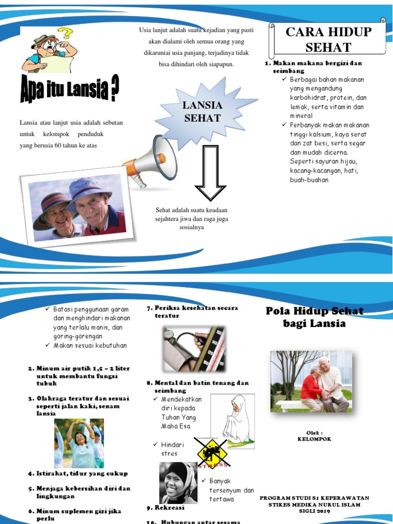 Leaflet Pola Hidup Sehat Lansia | PDF