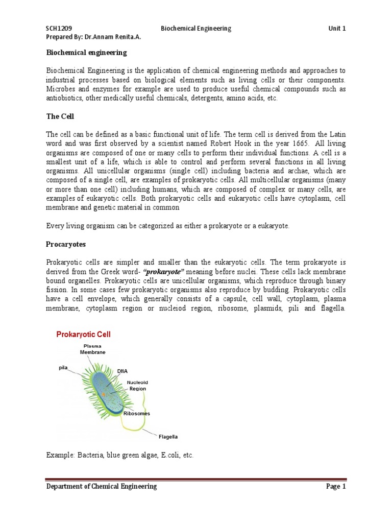 Biochemical Engineering: SCH1209 Biochemical Engineering Unit 1 ...