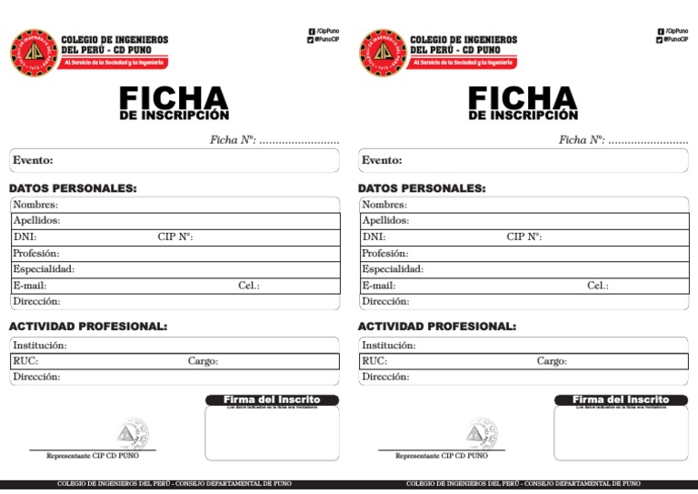 FICHA Cip | PDF | Ingeniería | Ciencia y Tecnología