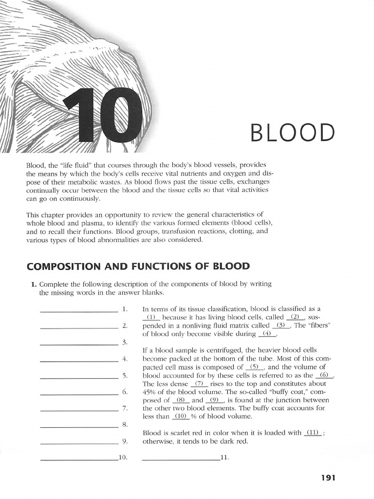 Blood-Worksheet AP PDF | PDF | White Blood Cell | Blood Type