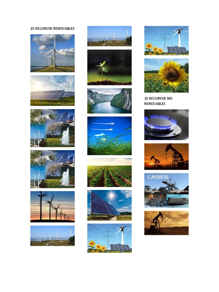 15 Recursos Renovables | PDF