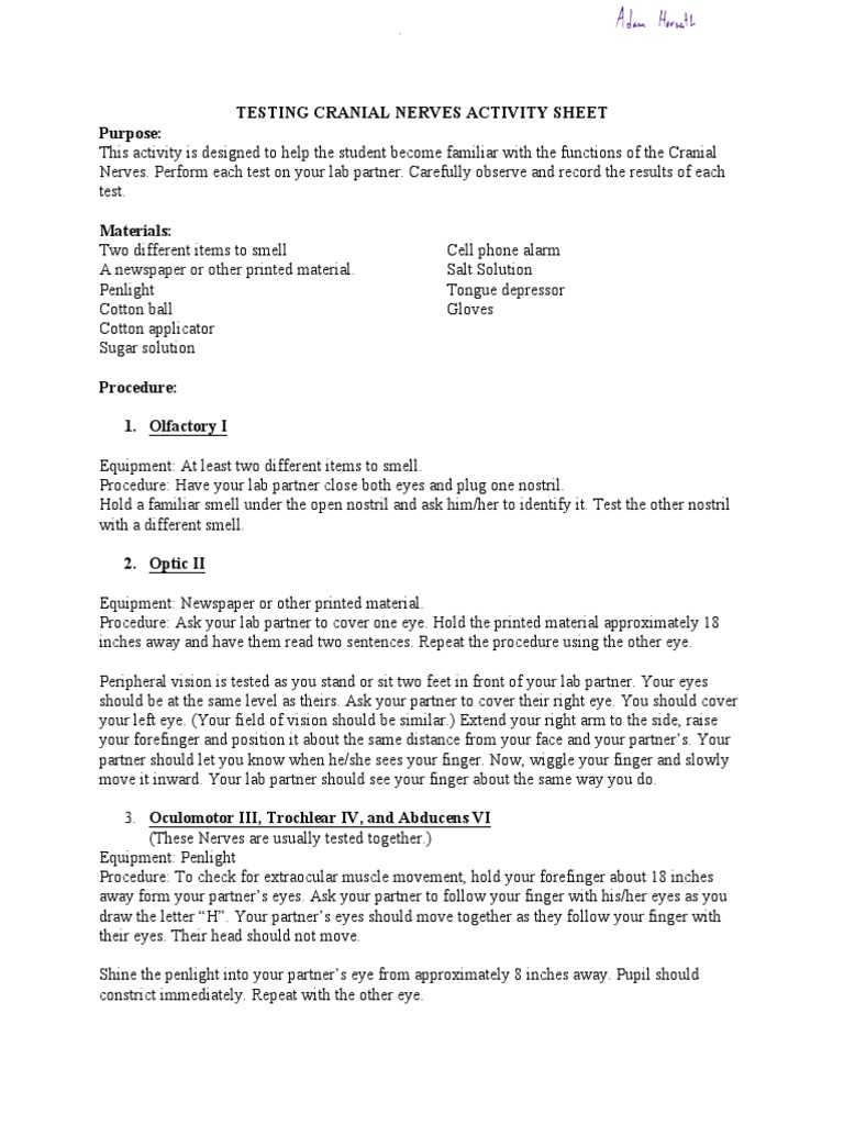 Testing Cranial Nerves Activity Sheet | PDF | Senses | Nervous System