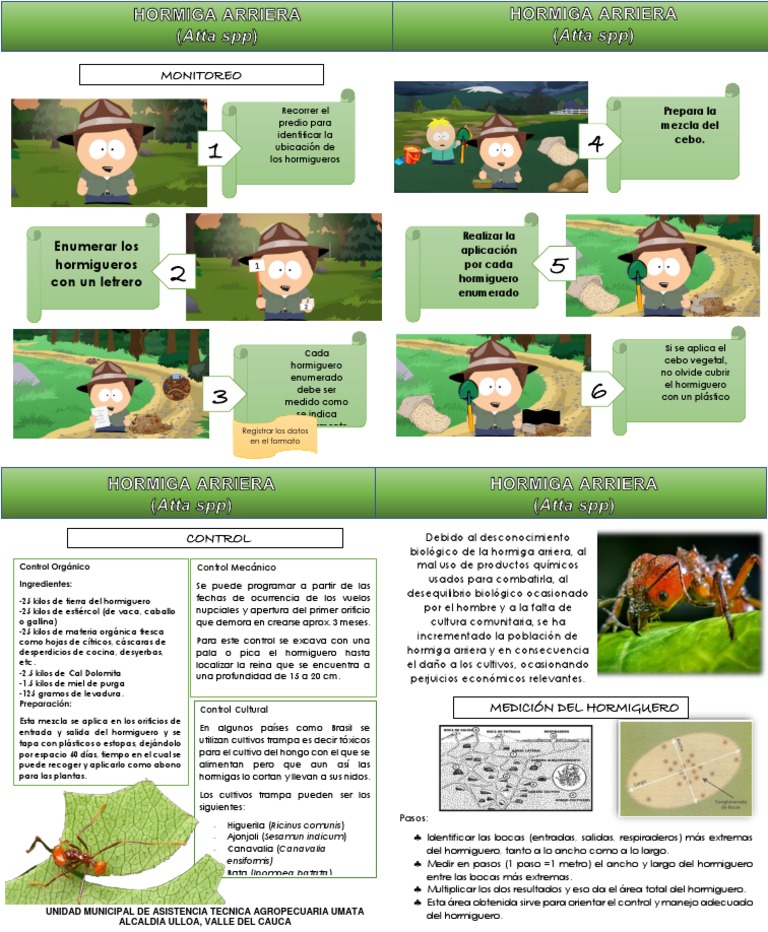 Hormiga Arriera Anexo 1 | PDF | Hormiga | Comida y bebida