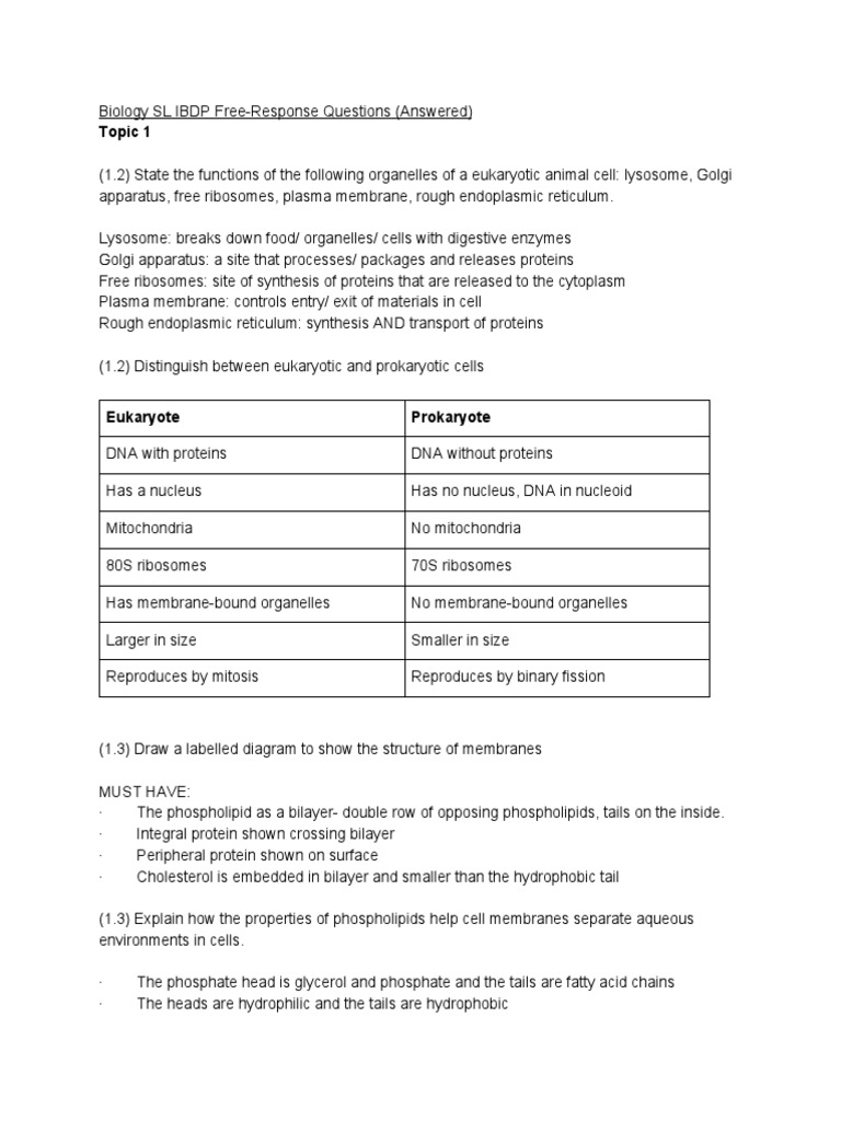 Biology Notes IB Free Response | PDF | Cellular Respiration ...