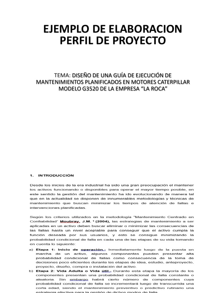 Ejemplo 2 Perfil de Proyecto PDF | PDF