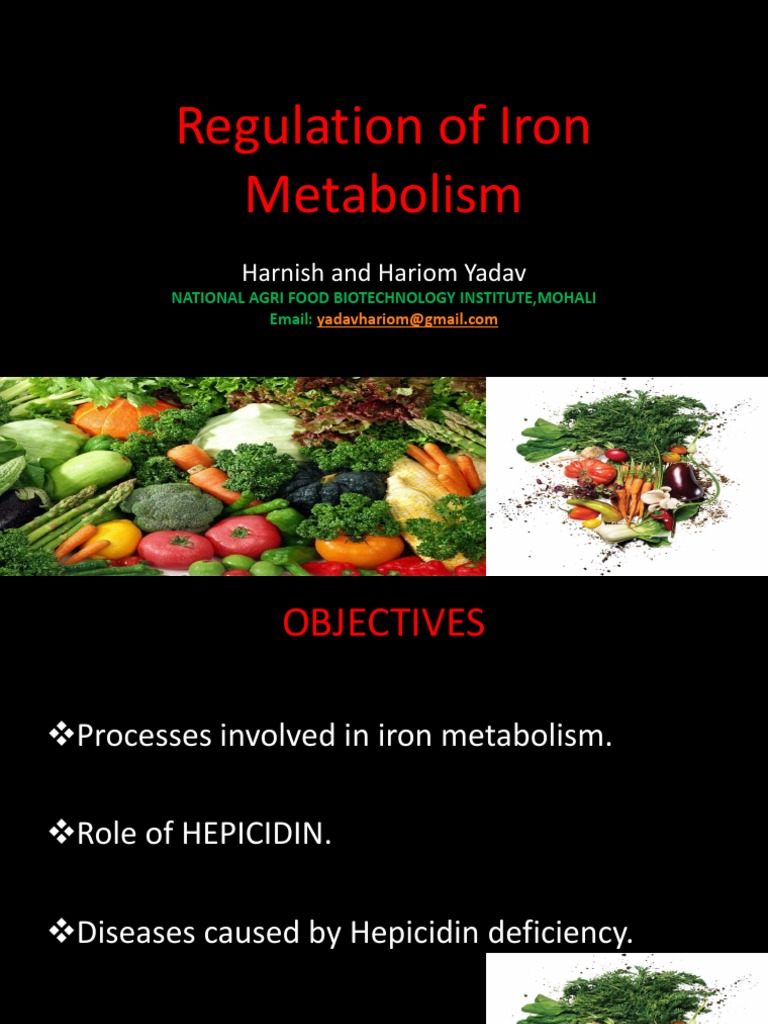 Regulation of Iron Metabolism | PDF | Metabolism | Iron