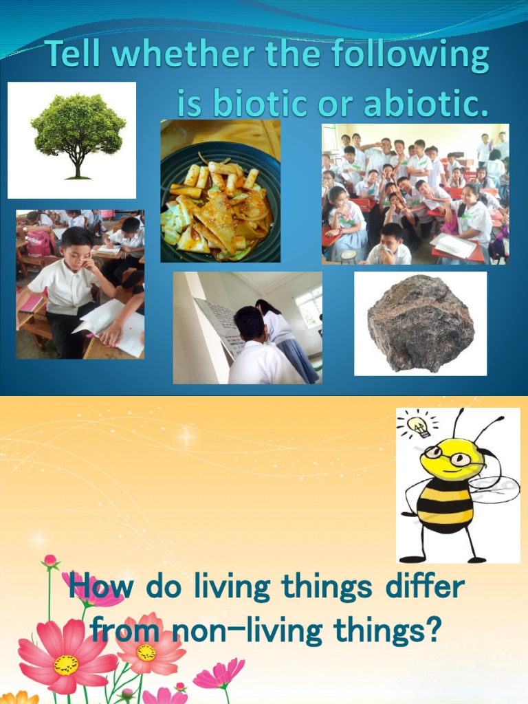 Interdependence of Organism in An Ecosystem | PDF | Ecosystem ...