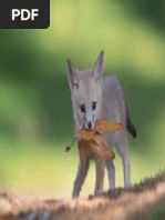 Contoh Kurva S Addendum | PDF | Architectural Elements | Building ...