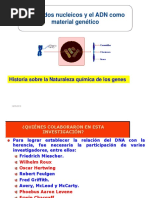 Estructura Del ADN | PDF | Adn | Transformación (Genética)