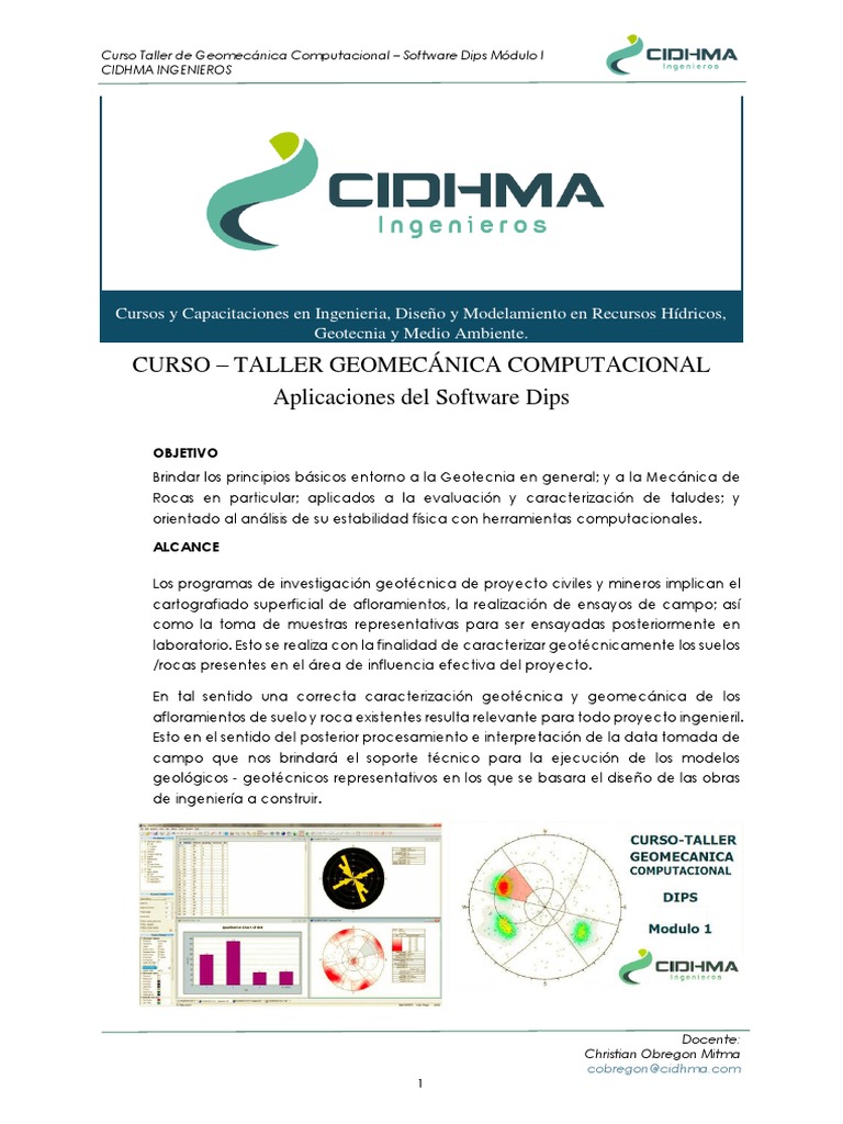 Ejercicio Aplicativo Dips | PDF | Ingeniería | Diseño