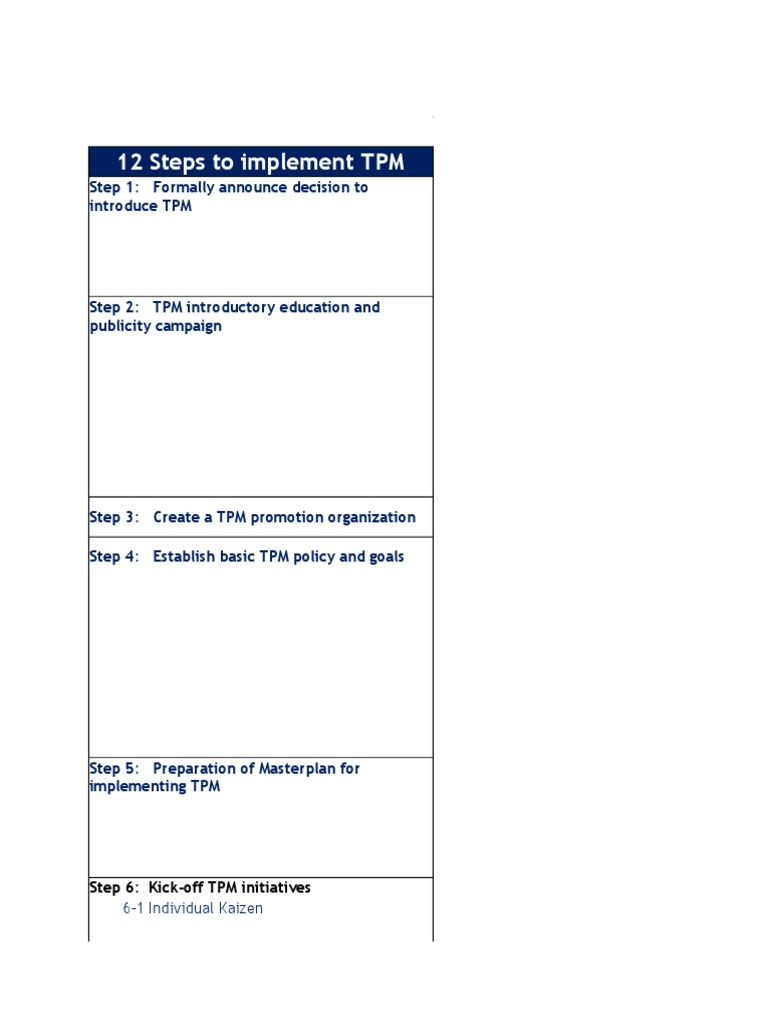 12 Steps TPM Implementation and Consultation Plan of Activities | PDF ...