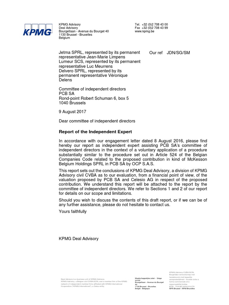 2017-11-16 Independent Expert Report E | PDF | Book Value | Discounted ...