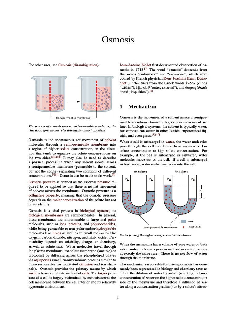 Osmosis: 1 Mechanism | PDF | Osmosis | Cell Biology