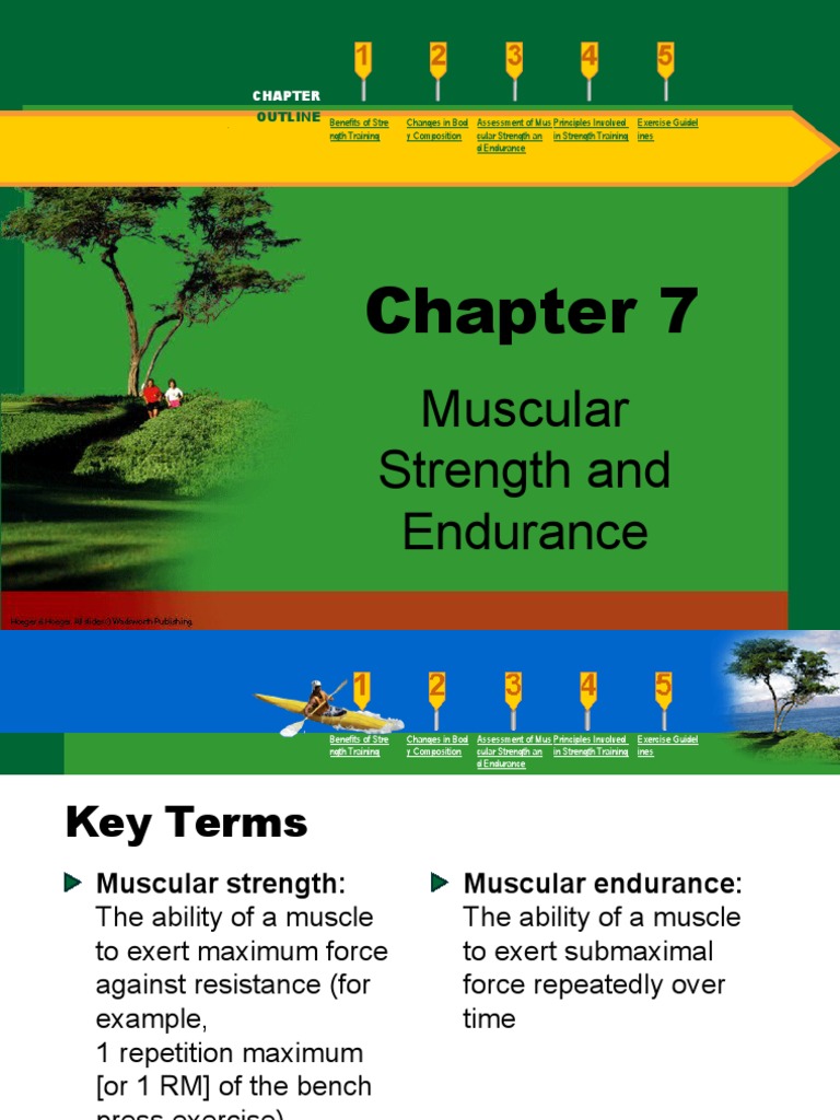 Muscular Strength and Endurance: Outline | PDF | Strength Training ...