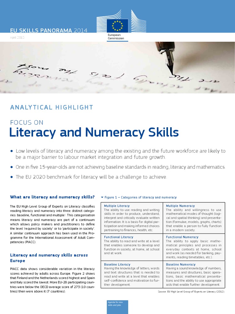 Literacy and Numeracy Skills: Analytical Highlight | PDF | Literacy ...