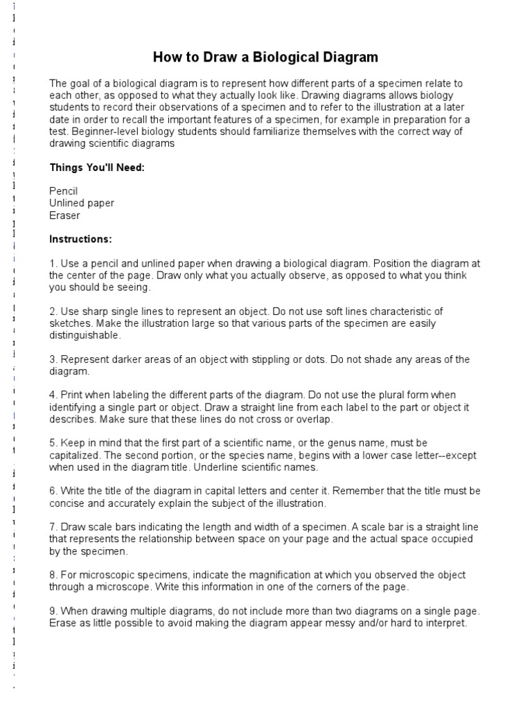 How To Draw A Biological Diagram | PDF | Drawing | Cognitive Science